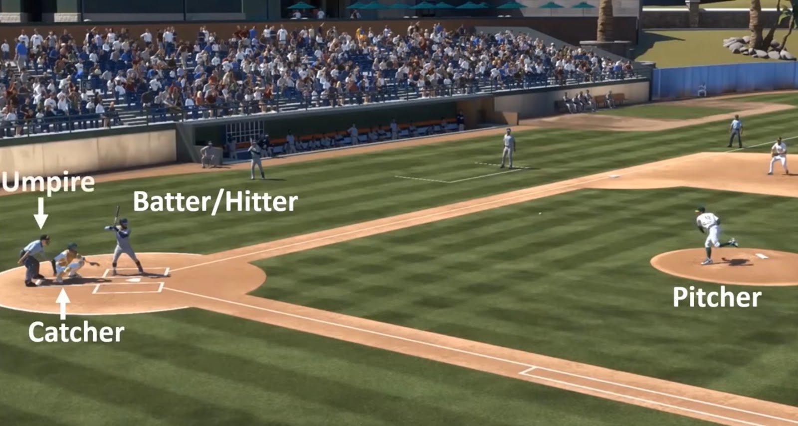 Mastering Basic Skills in Baseball: A Beginner's Guide